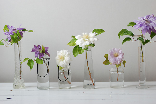 유토이미지 | 36926-0000481