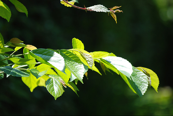 유토이미지 | 36926-0000527