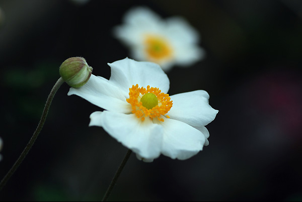 유토이미지 | 36926-0000694