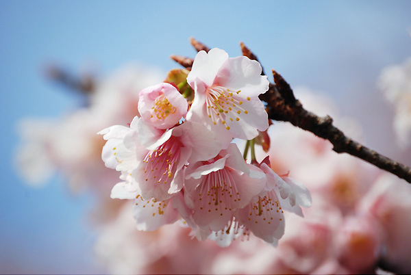 유토이미지 | 36926-0000916