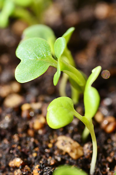 유토이미지 | 36926-0000943