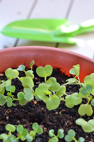 유토이미지 | 상세페이지 | 베이직샵 | 16251750 | 36926-0000948