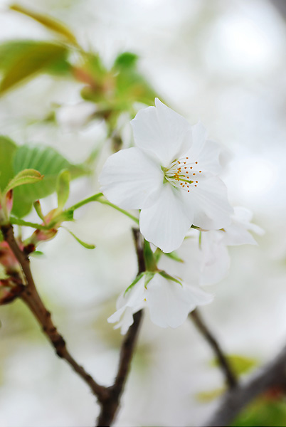 유토이미지 | 36926-0001009