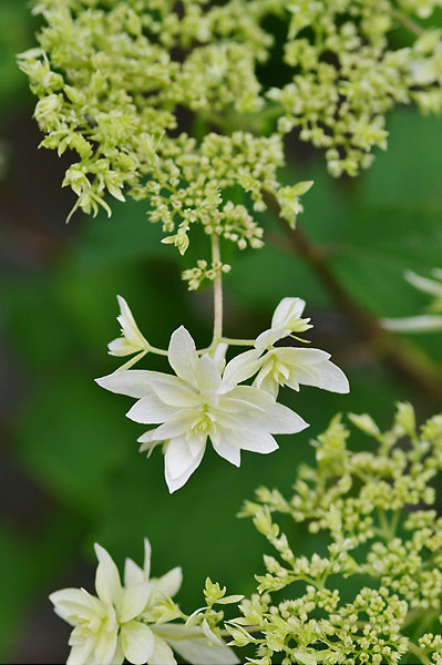 유토이미지 | 36926-0001273