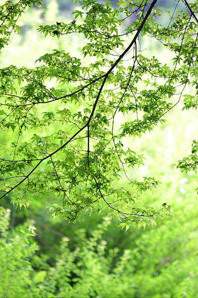 유토이미지 | 36926-0001289