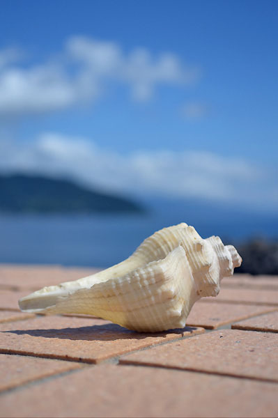 유토이미지 | 36926-0001298