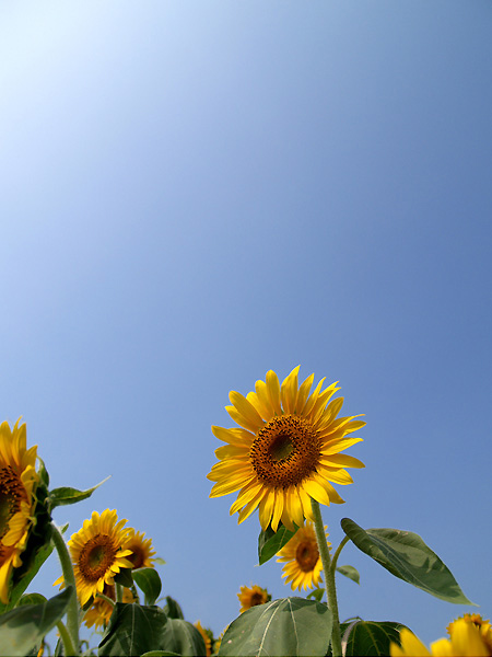 유토이미지 | 36935-0000008