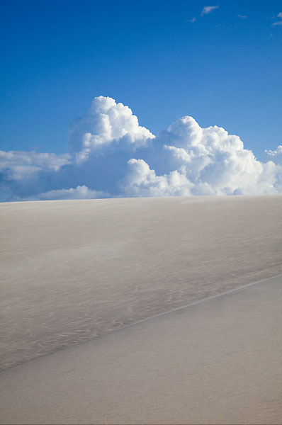 36954-0000036 | 유토이미지 | 상세페이지 | 베이직샵 | 16259023