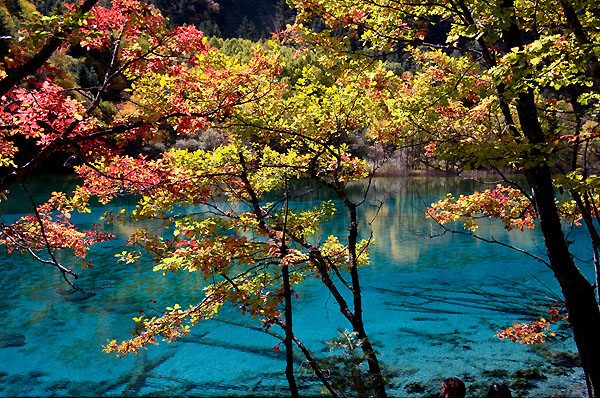 유토이미지 | 상세페이지 | 베이직샵 | 16259188 | 36954-0000069