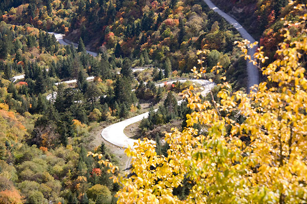 유토이미지 | 36954-0000103