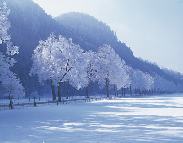 유토이미지 | 36954-0000124