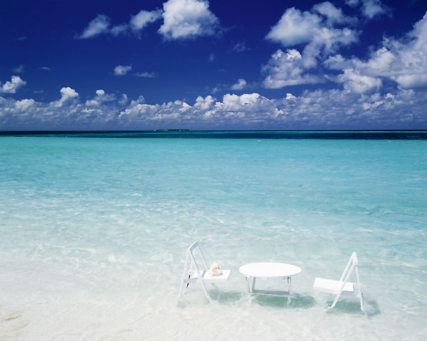 36954-0000449 | 유토이미지 | 상세페이지 | 베이직샵 | 16261003