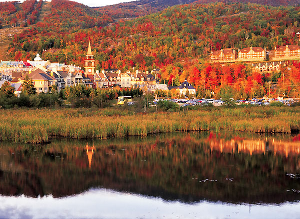 유토이미지 | 36954-0000505