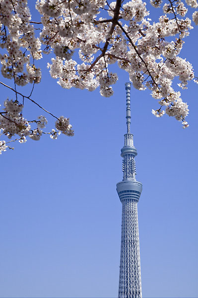 36954-0000557 | 유토이미지 | 상세페이지 | 베이직샵 | 16261400