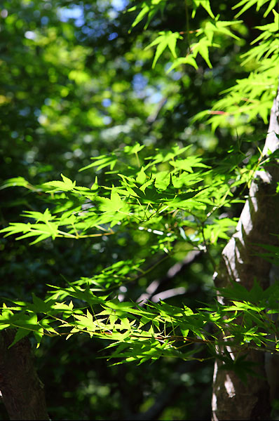 36961-0000056 | 유토이미지 | 상세페이지 | 베이직샵 | 16261708