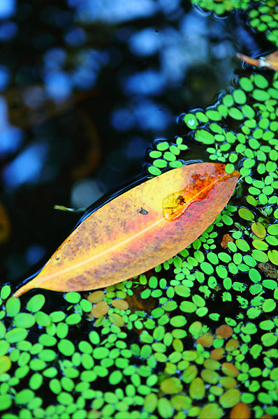 유토이미지 | 36961-0000066