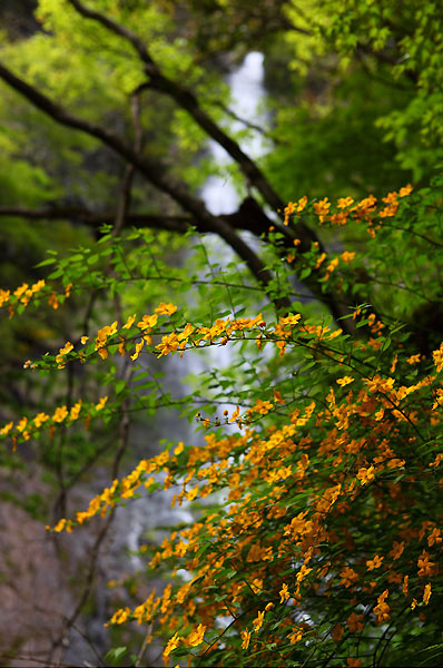 유토이미지 | 36961-0000077