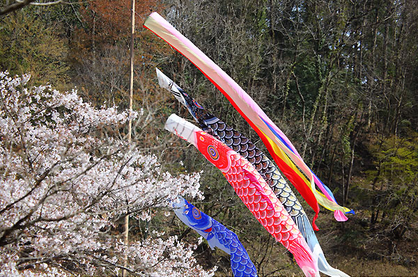 유토이미지 | 36961-0000383