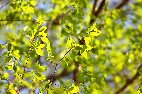 유토이미지 | 36961-0000387