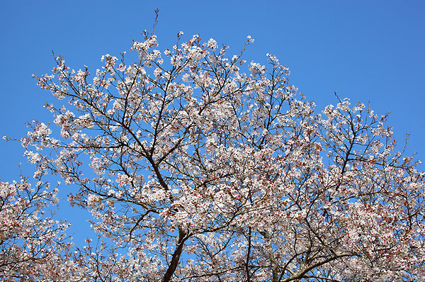 유토이미지 | 36961-0000388