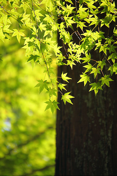 유토이미지 | 36961-0000519