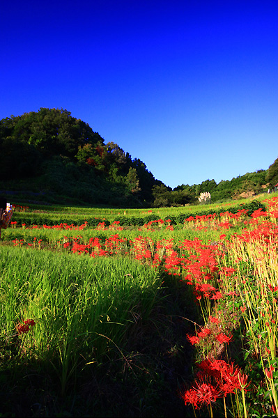 유토이미지 | 36994-0000003