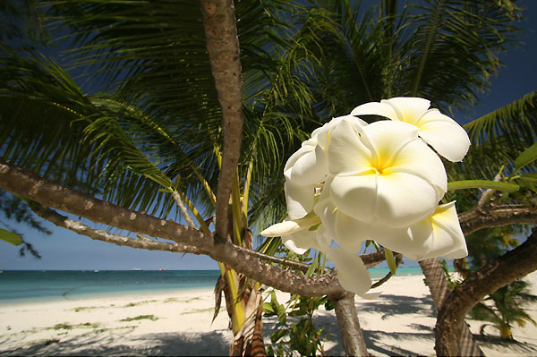 37032-0000039 | 유토이미지 | 상세페이지 | 베이직샵 | 16264994