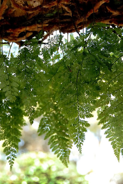 유토이미지 | 37066-0000249