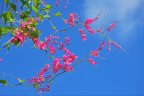 유토이미지 | 37144-0000279