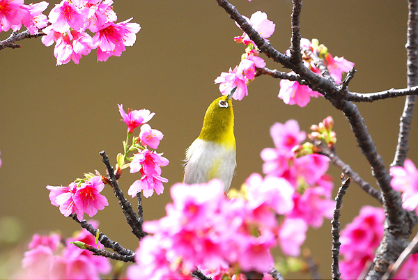 유토이미지 | 37144-0000945