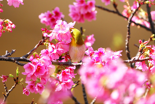 유토이미지 | 37144-0000967