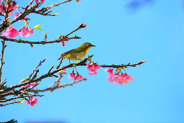 유토이미지 | 37144-0001022