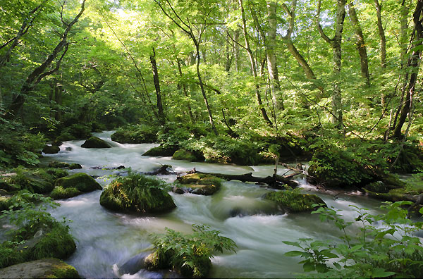 유토이미지 | 37147-0000092