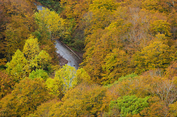 37147-0000371 | 유토이미지 | 상세페이지 | 베이직샵 | 16283085