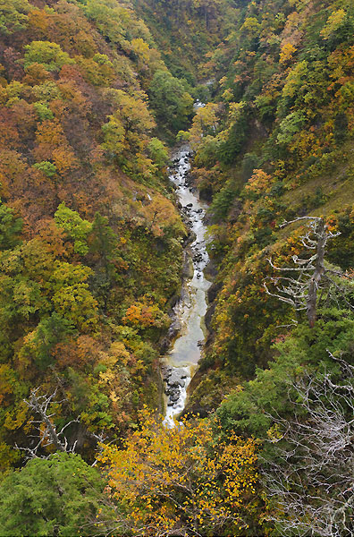 37147-0000383 | 유토이미지 | 상세페이지 | 베이직샵 | 16283160