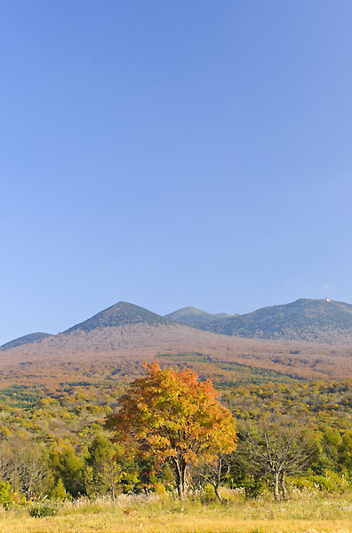 유토이미지 | 37147-0000456