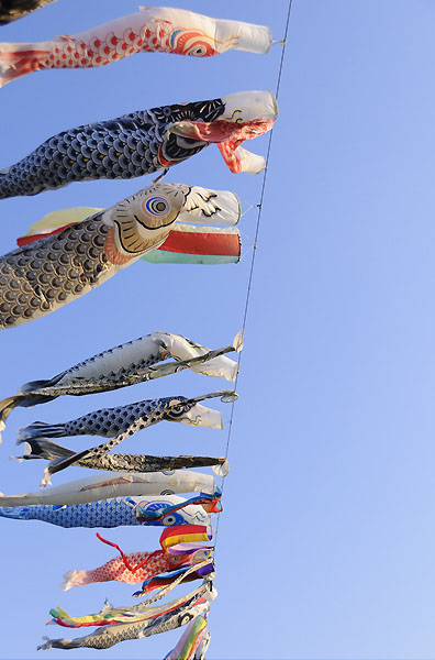 유토이미지 | 37147-0000463