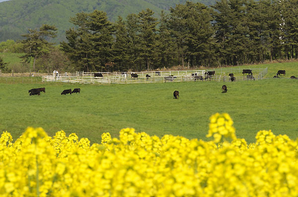 유토이미지 | 37147-0000490