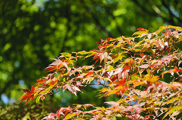 유토이미지 | 37147-0000568