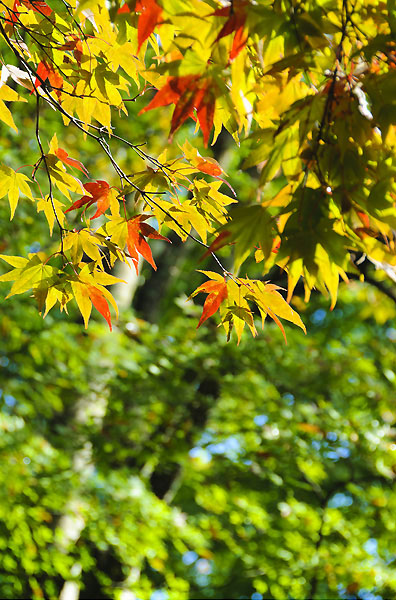 유토이미지 | 37147-0000573