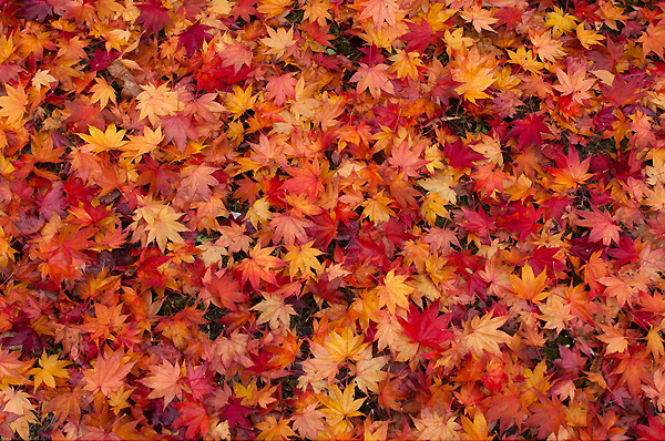 유토이미지 | 37285-0000007