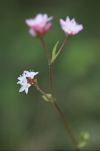유토이미지 | 37315-0000016