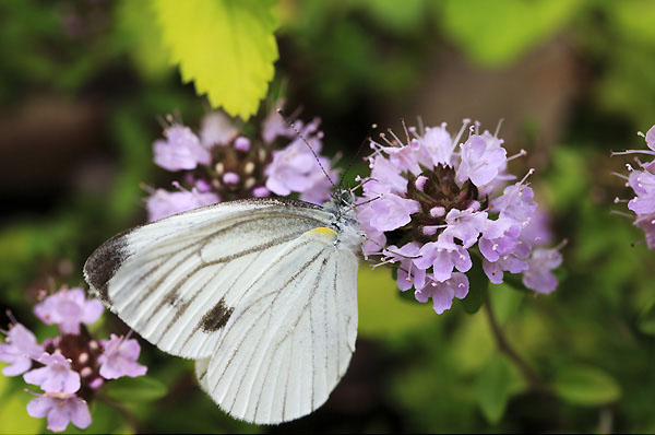 유토이미지 | 37315-0000290