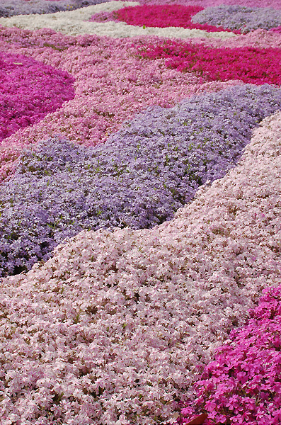 37383-0000289 | 유토이미지 | 상세페이지 | 베이직샵 | 16304848