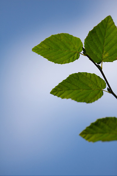 유토이미지 | 37415-0000024