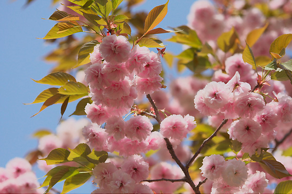 유토이미지 | 37415-0000060