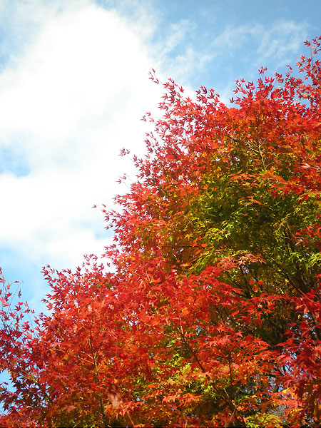 유토이미지 | 37423-0000038