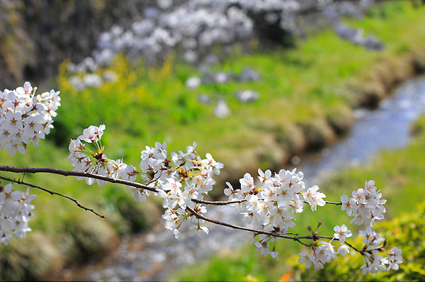 유토이미지 | 37423-0000273