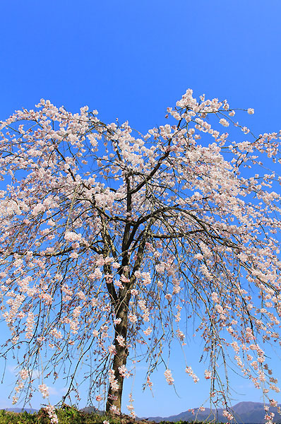 유토이미지 | 37423-0000329