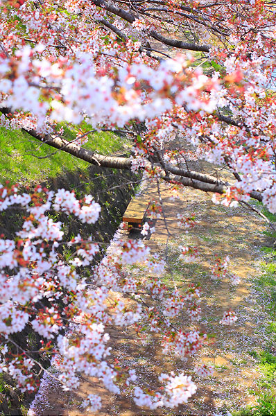 37423-0000348 | 유토이미지 | 상세페이지 | 베이직샵 | 16307882
